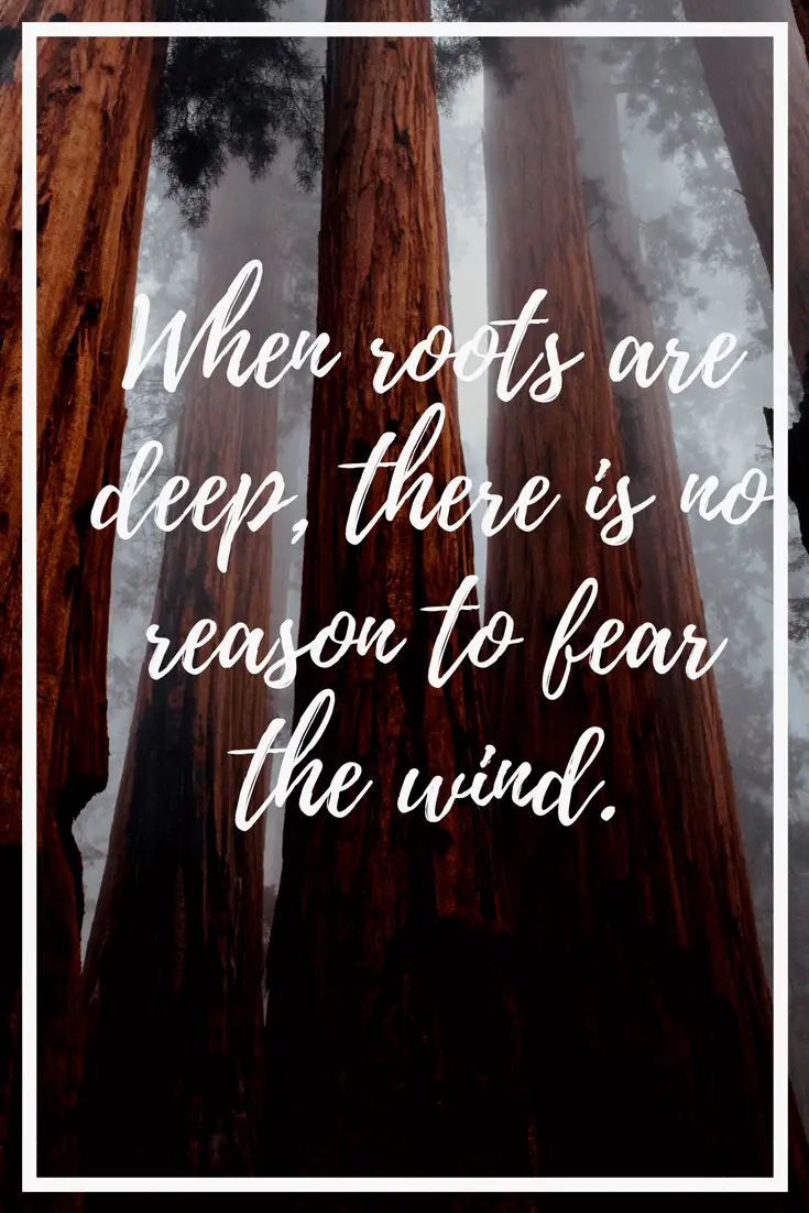 Top 30 Gypsy Soul Quotes - museuly